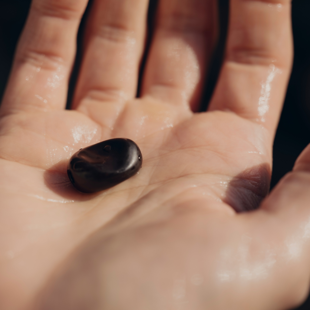 POLÈNE lance le sac Solé avec des perles en QILIN - Authentic Material